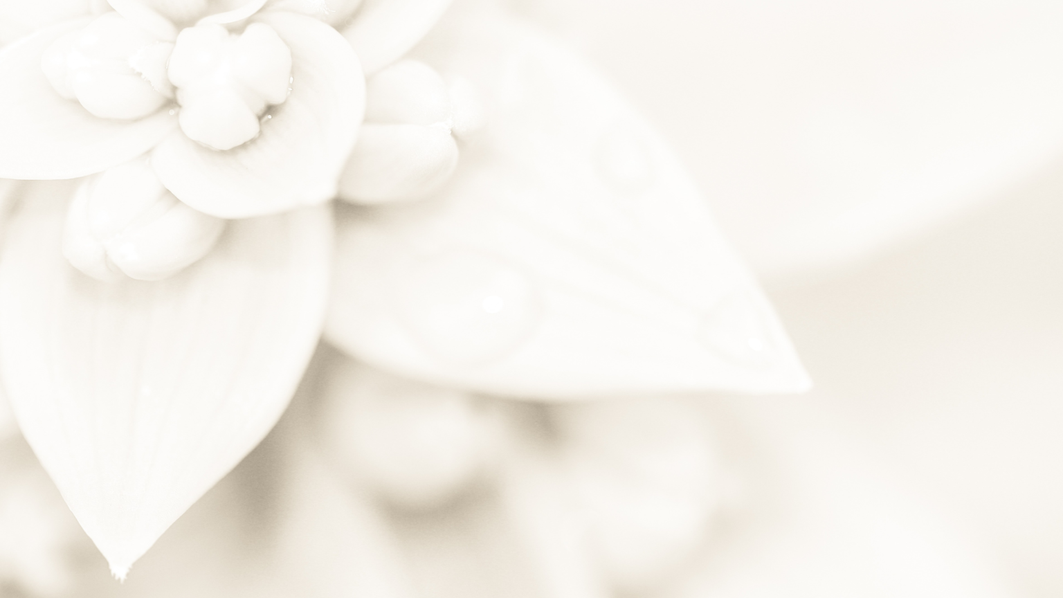 How Grief Affects Your Body - Tiffany Thomas Therapy